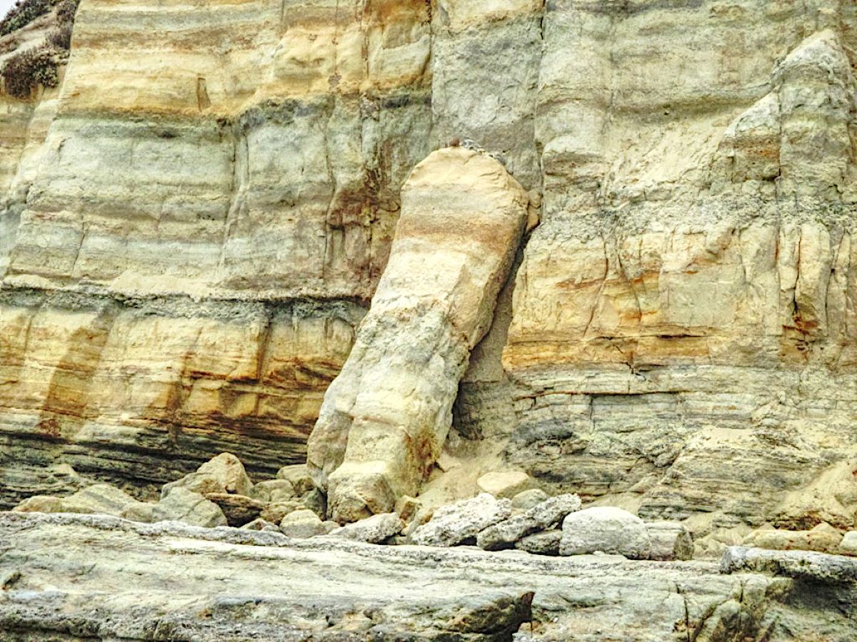 Rock | loujen haxm'Yor