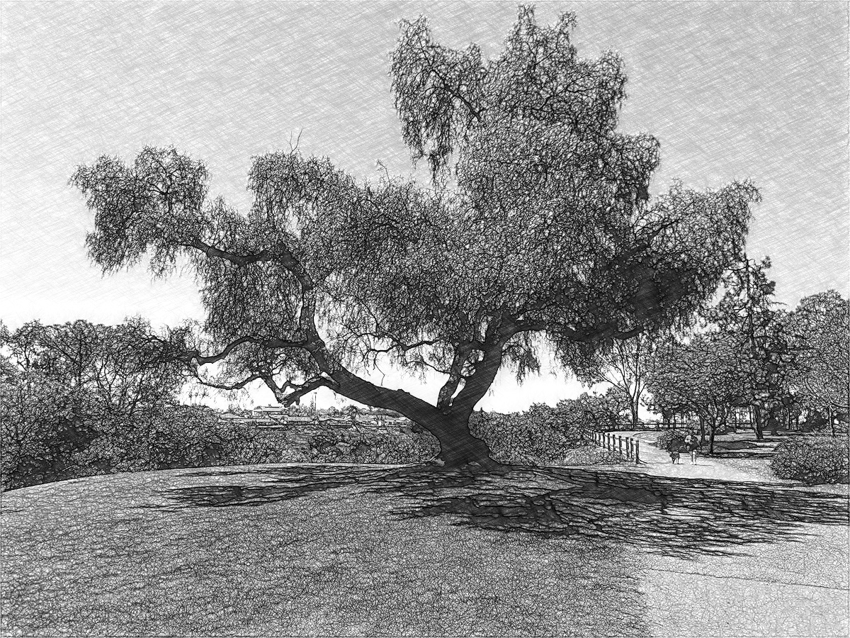 Park Sans Colour | loujen haxm'Yor